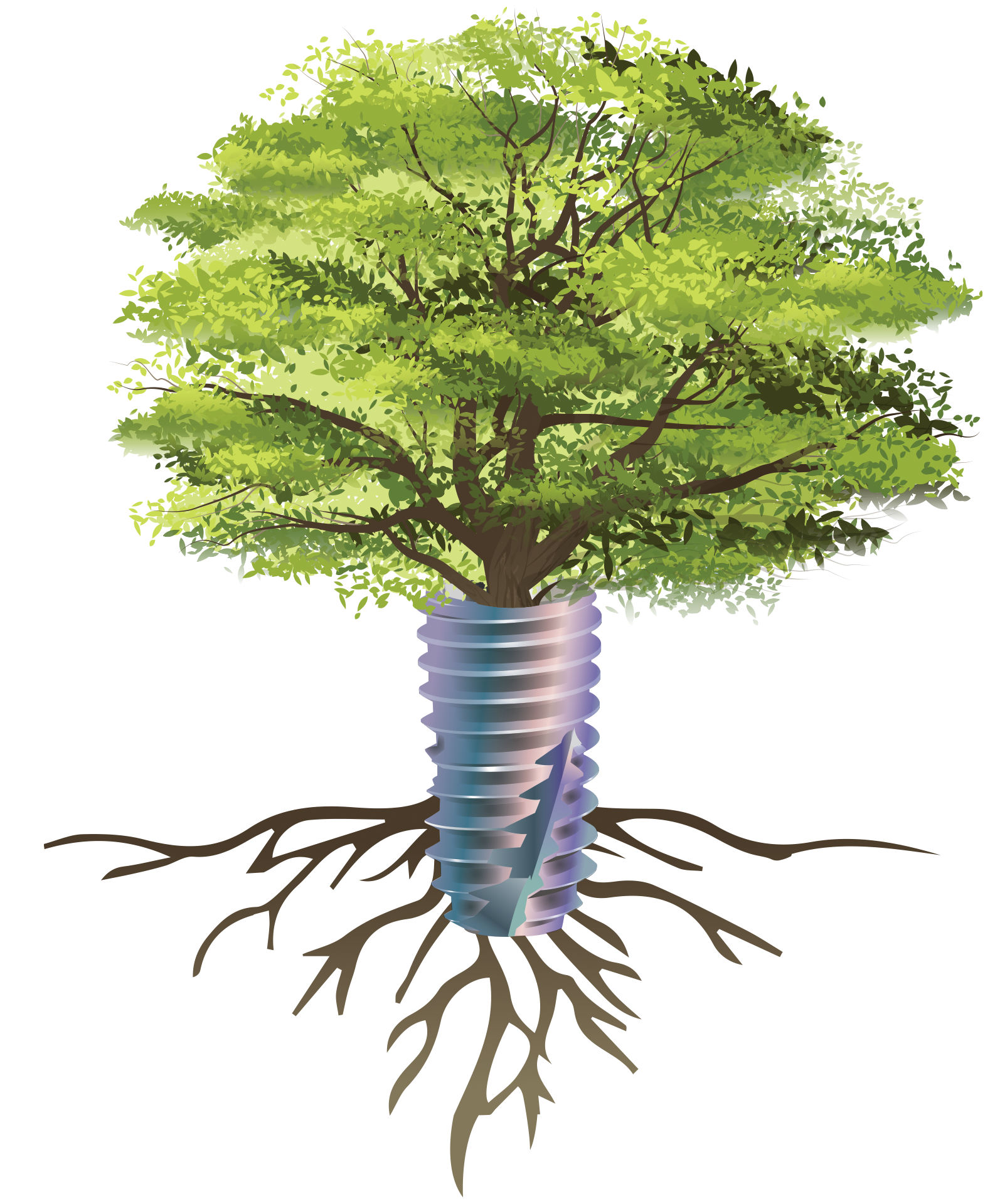 Implant excellence – B2LAB